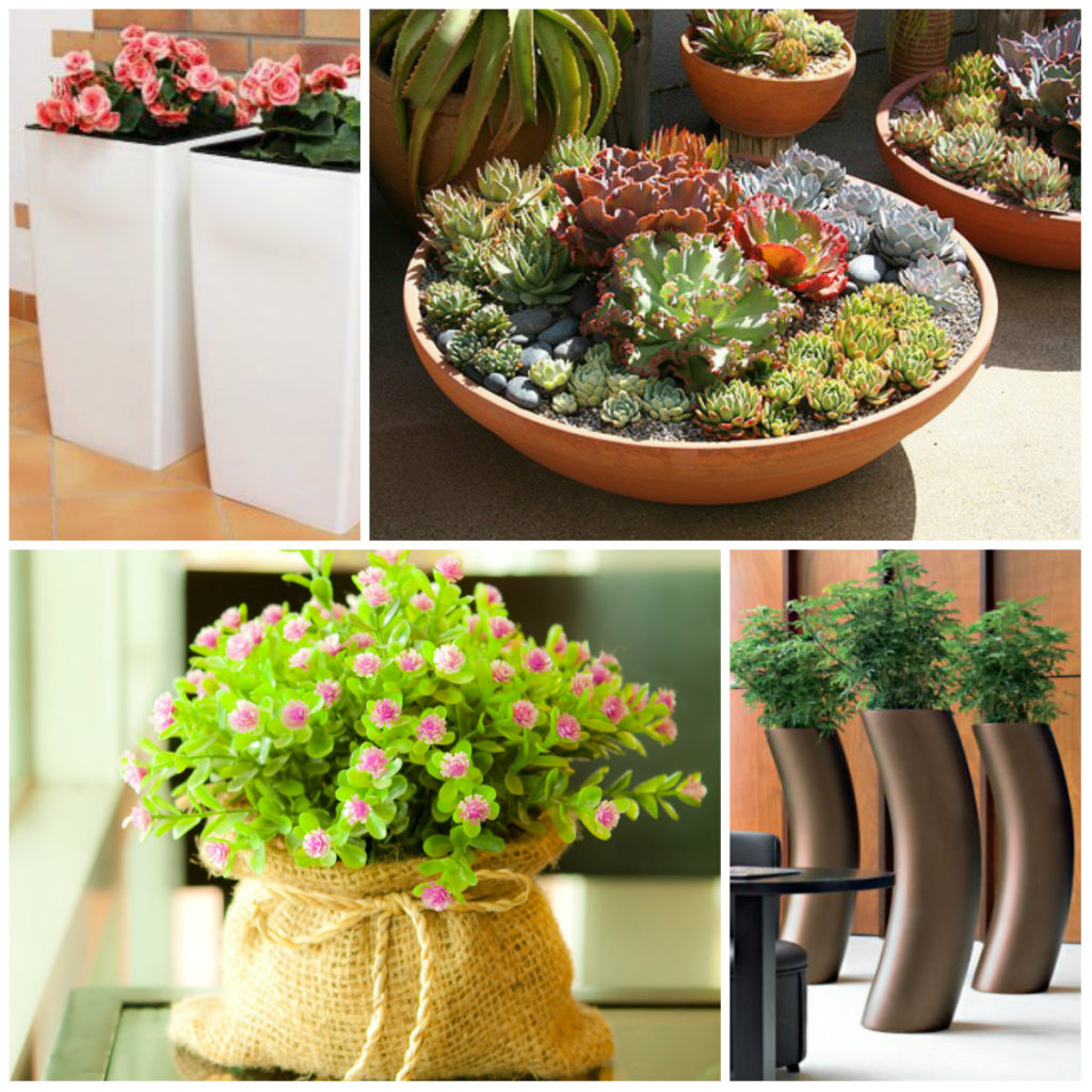 Как выбрать горшки для комнатных растений - Krovlyakryshi.ru